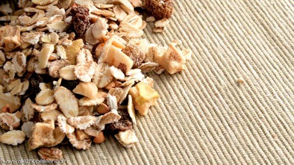 Sablés healthy pour grignotage | Allez hop Eileen